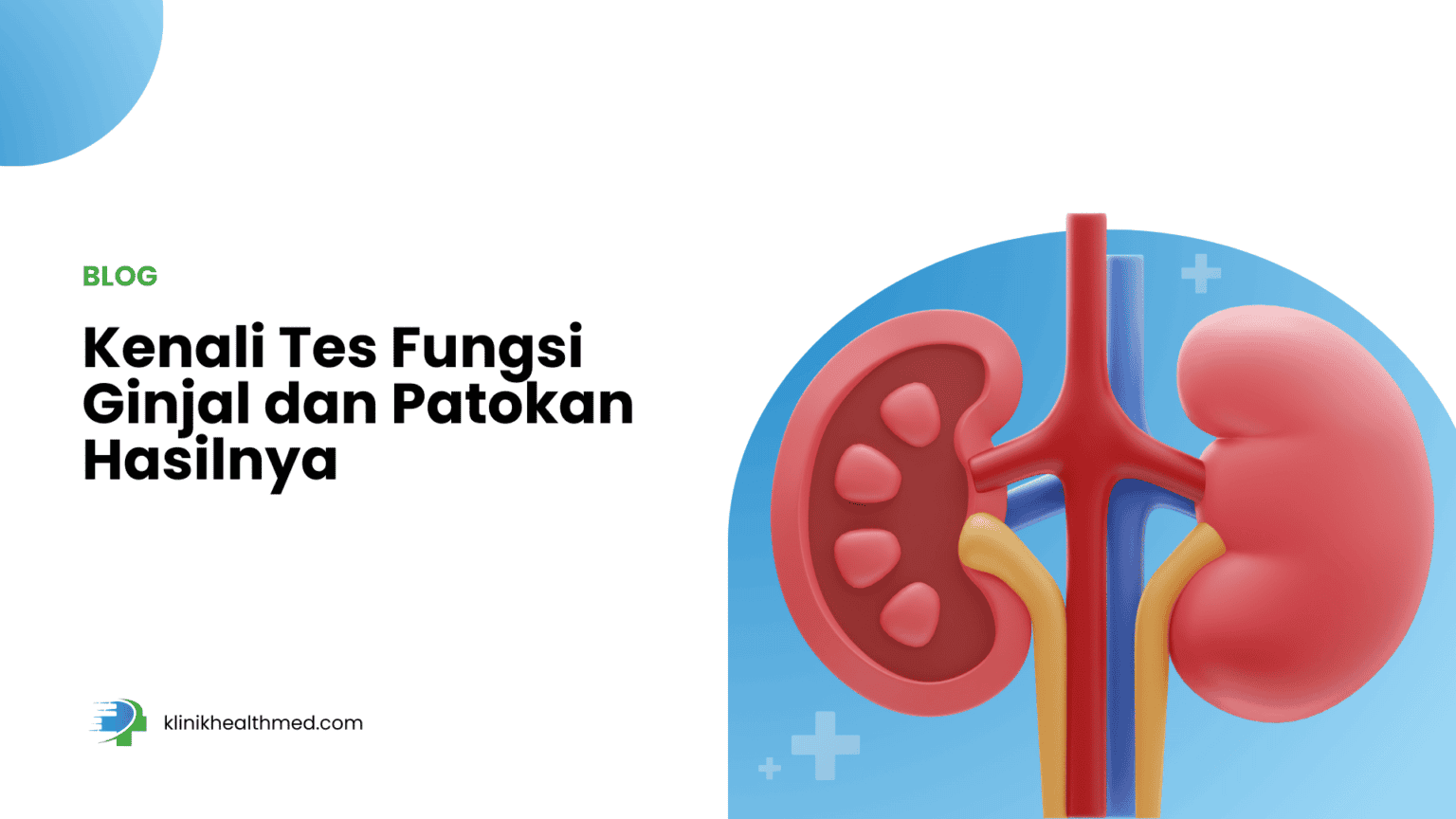 Kenali Tes Fungsi Ginjal dan Patokan Hasil Tes Fungsi Ginjal - Klinik ...